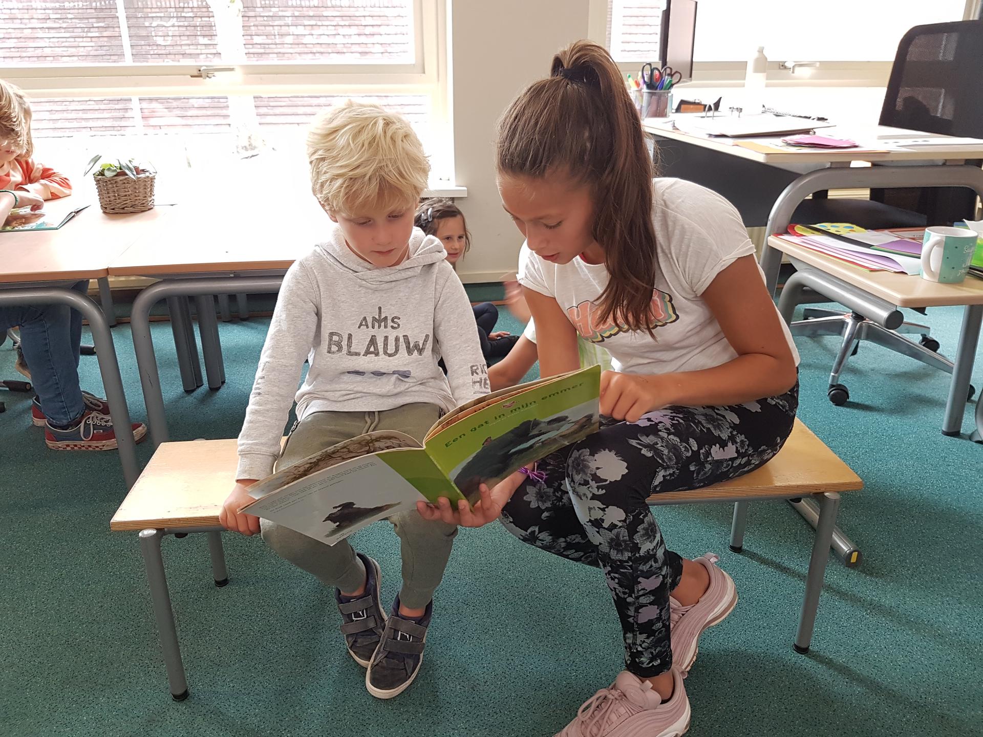 Groep 8 leest voor aan groep 1/2